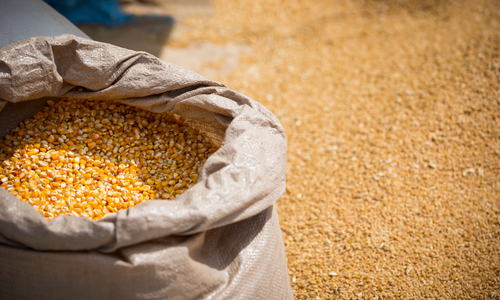 Delivery - Fort Collins, CO - Northern Colorado Feeders Supply