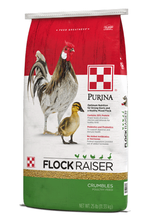 Purina® Flock Raiser® Crumbles - Fort Collins, CO - Northern Colorado ...